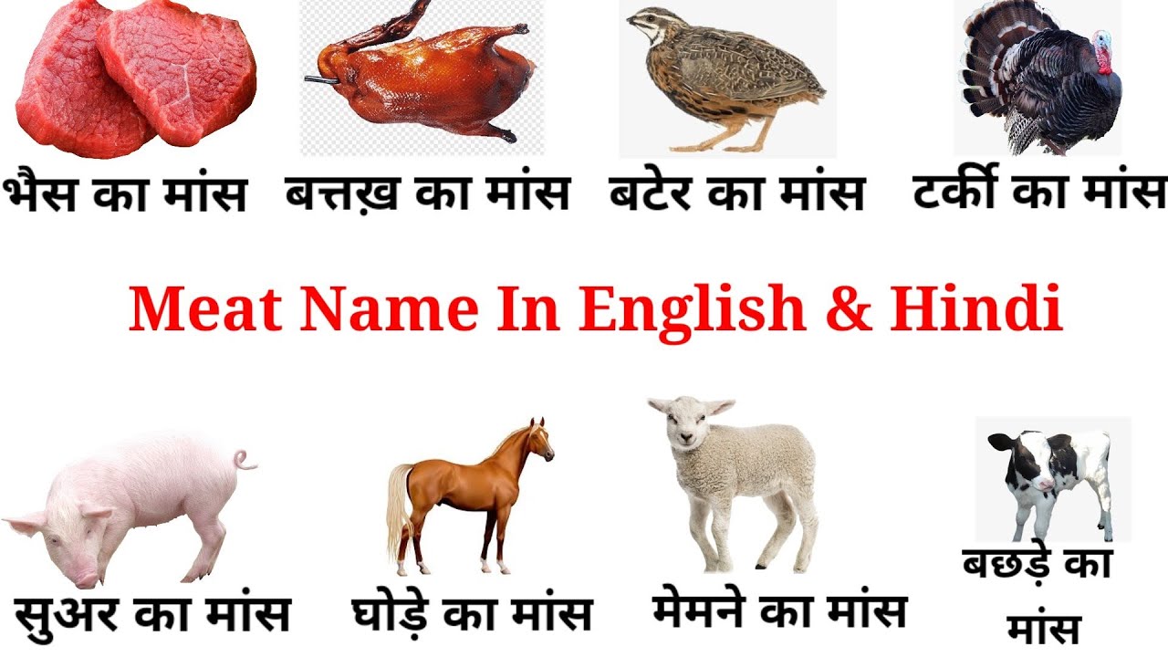 Meat Name in English & Hindi | Food Vocabulary | Daily English Speaking ...