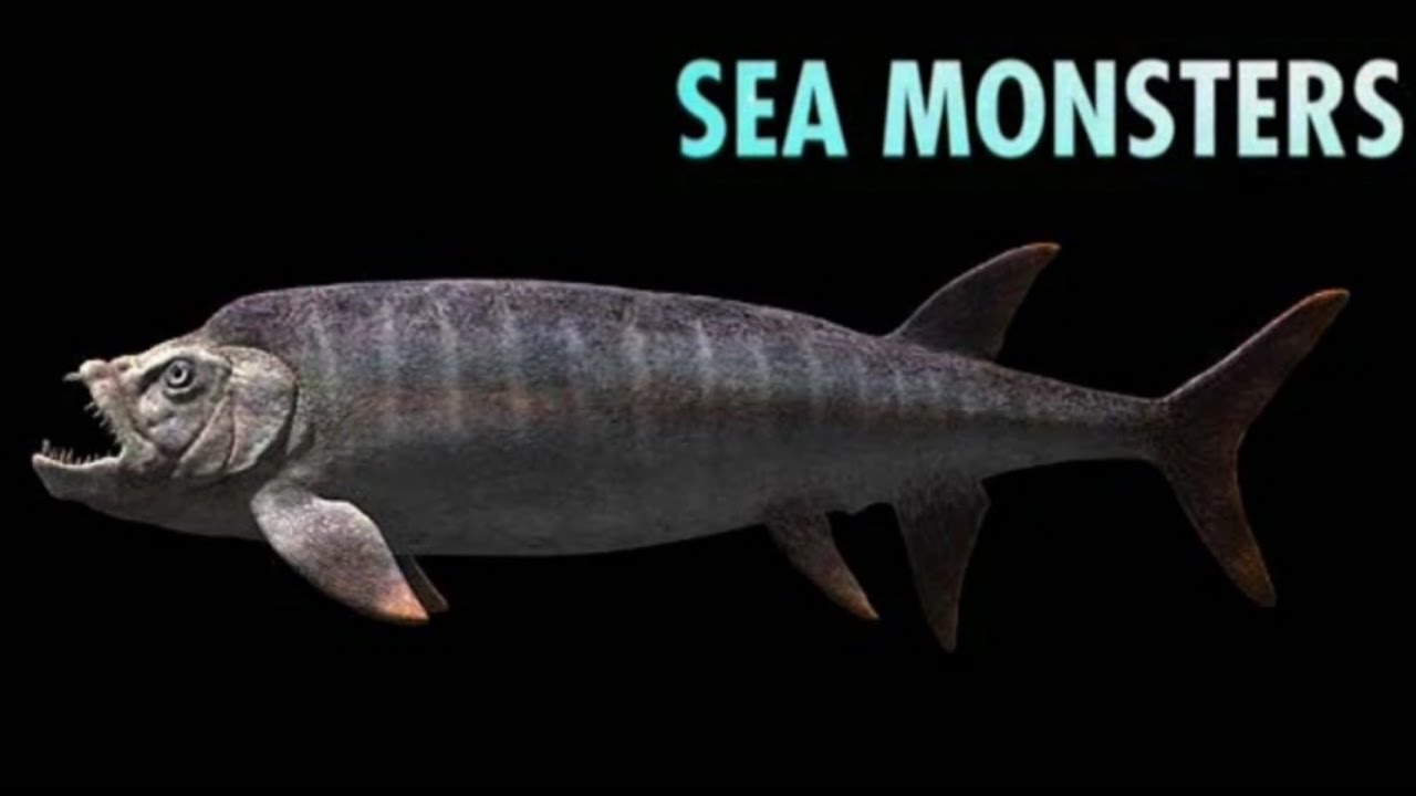 Sea Monsters [2004] - Xiphactinus Screen Time - YouTube