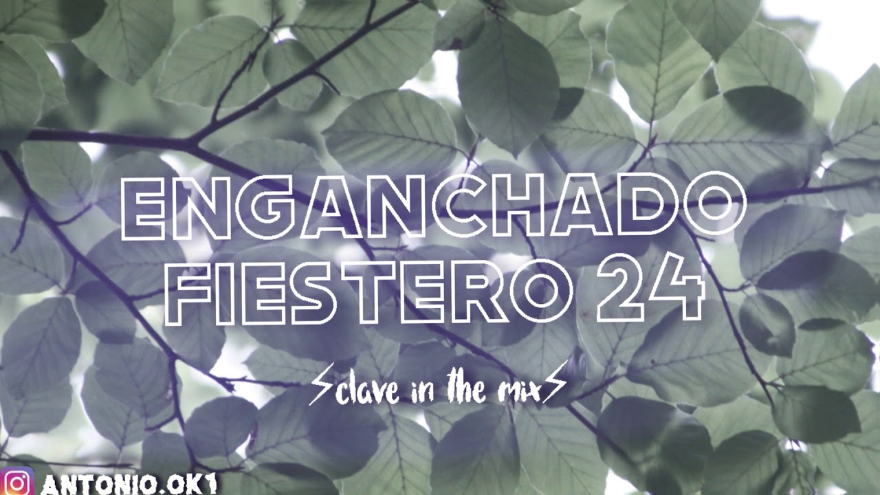 ENGANCHADO FIESTERO 24 - Especial REGGAETON⚡ALTA PREVIA⚡ABRIL 2020⚡MEGA ...