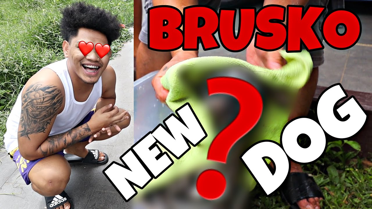 NEW BRUSKO DOG! - YouTube