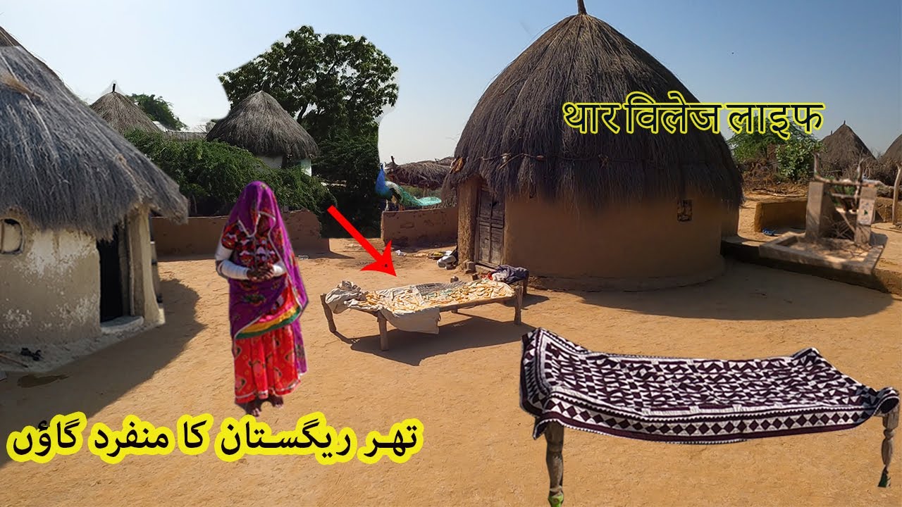 Tribal Lifestyle of Thar Desert Sindh || Village Life of Pakistan || Living in Huts || Part-1 ...