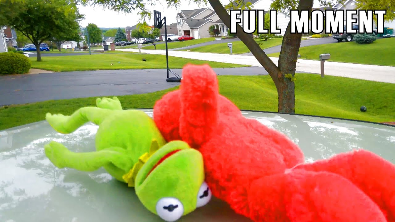 FULL MOMENT - Kermit drops Elmo on a car: VSW Ep. 30 - YouTube