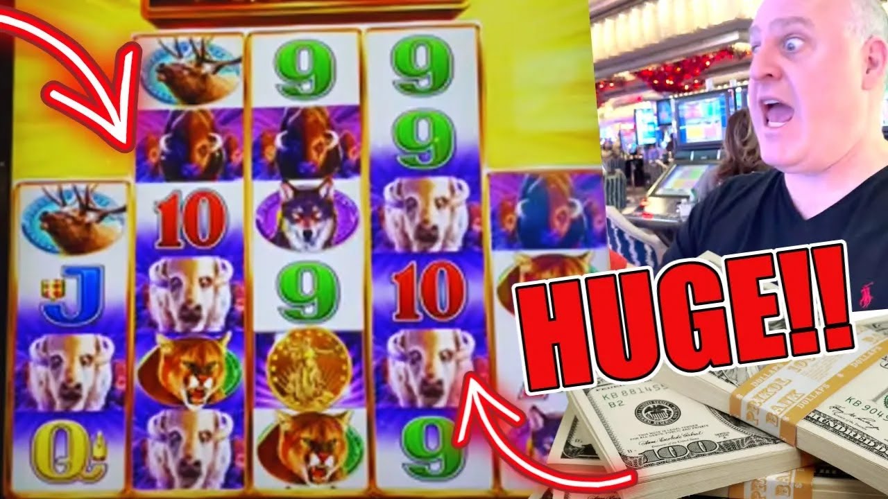 WINNING BIG ON BUFFALO! ⍟ MAX BET BUFFALO CHIEF AND BUFFALO GOLD REEL ...