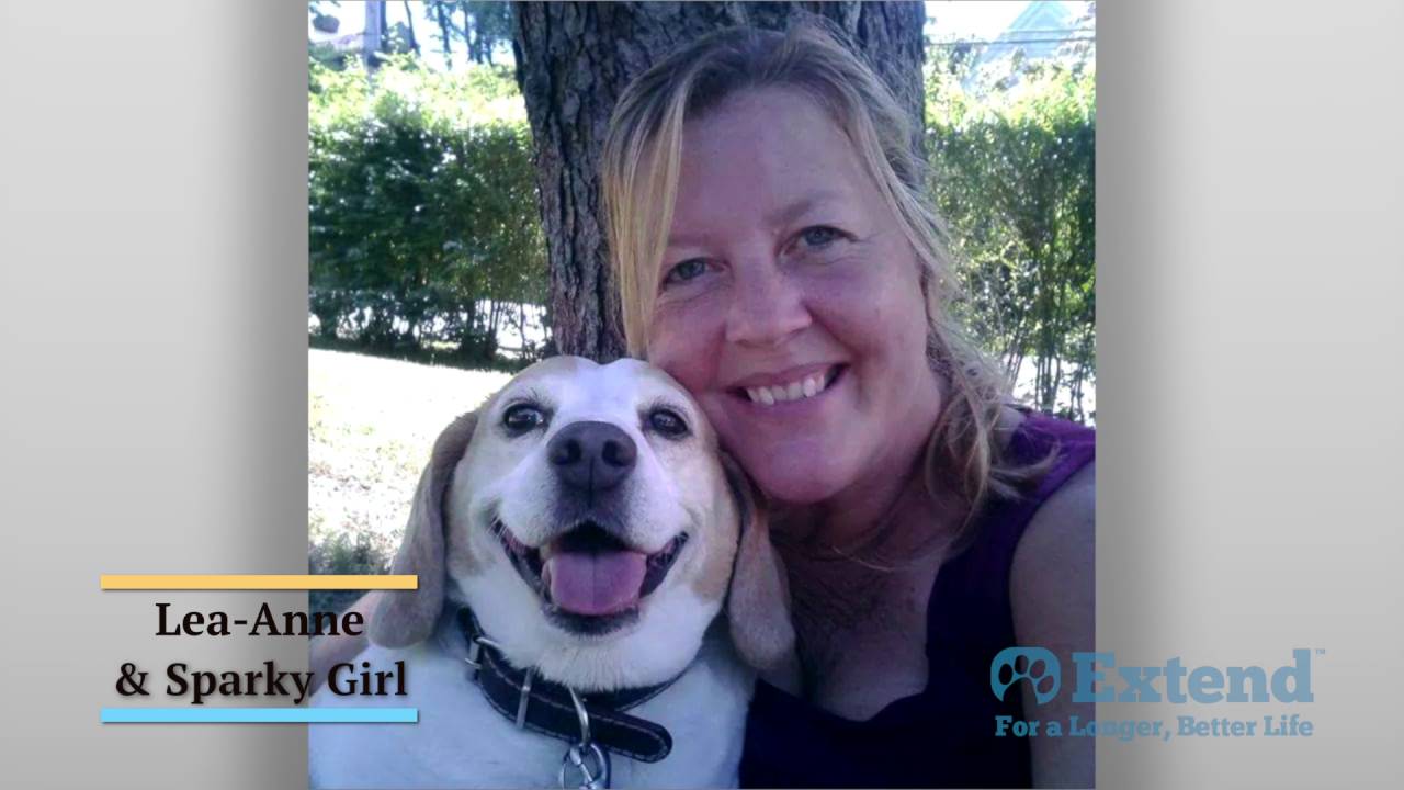 Sparky Girl - Extend™ Joint Care for Dogs - Long - YouTube