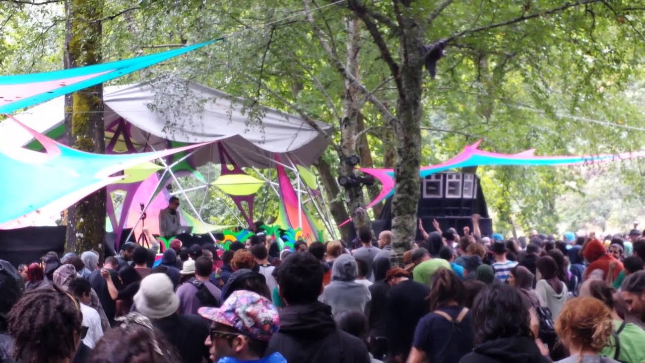 Astrix Live @ Insomnia Festival 2014 - YouTube