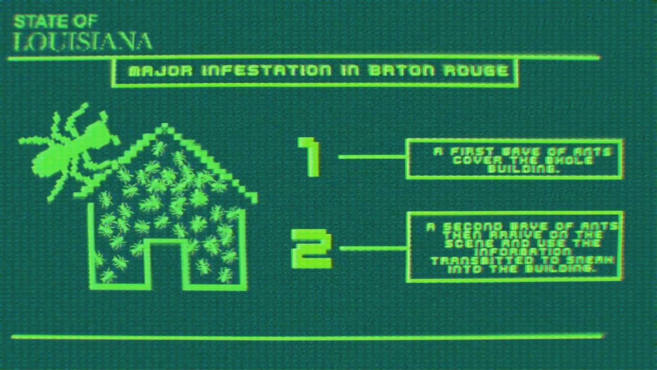 EAS Scenario | Ants Invasion | Alert World - YouTube