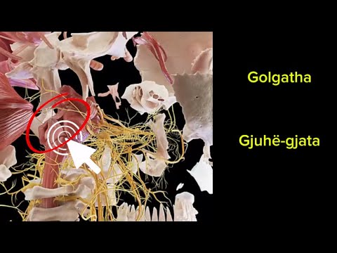 Golgatha = Gjuhë-gjata, Gabatha = nga Bota. Krishti, Etimologjia ...