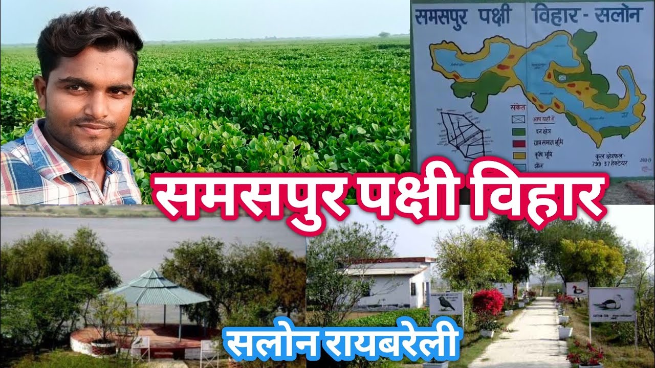 समसपुर पक्षी विहार 2023 | Samaspur Pachi Vihar | Salon Raebareli ...