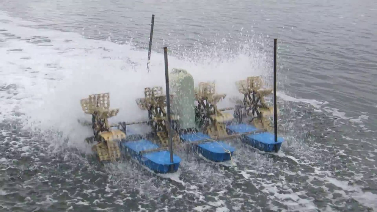 Paddlewheel Aerators Shrimp Ponds Sri Lanka - YouTube