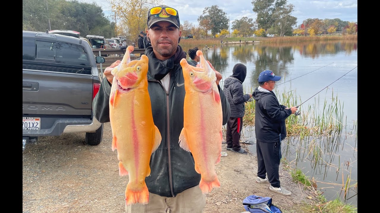 Big Lightning Trout - YouTube