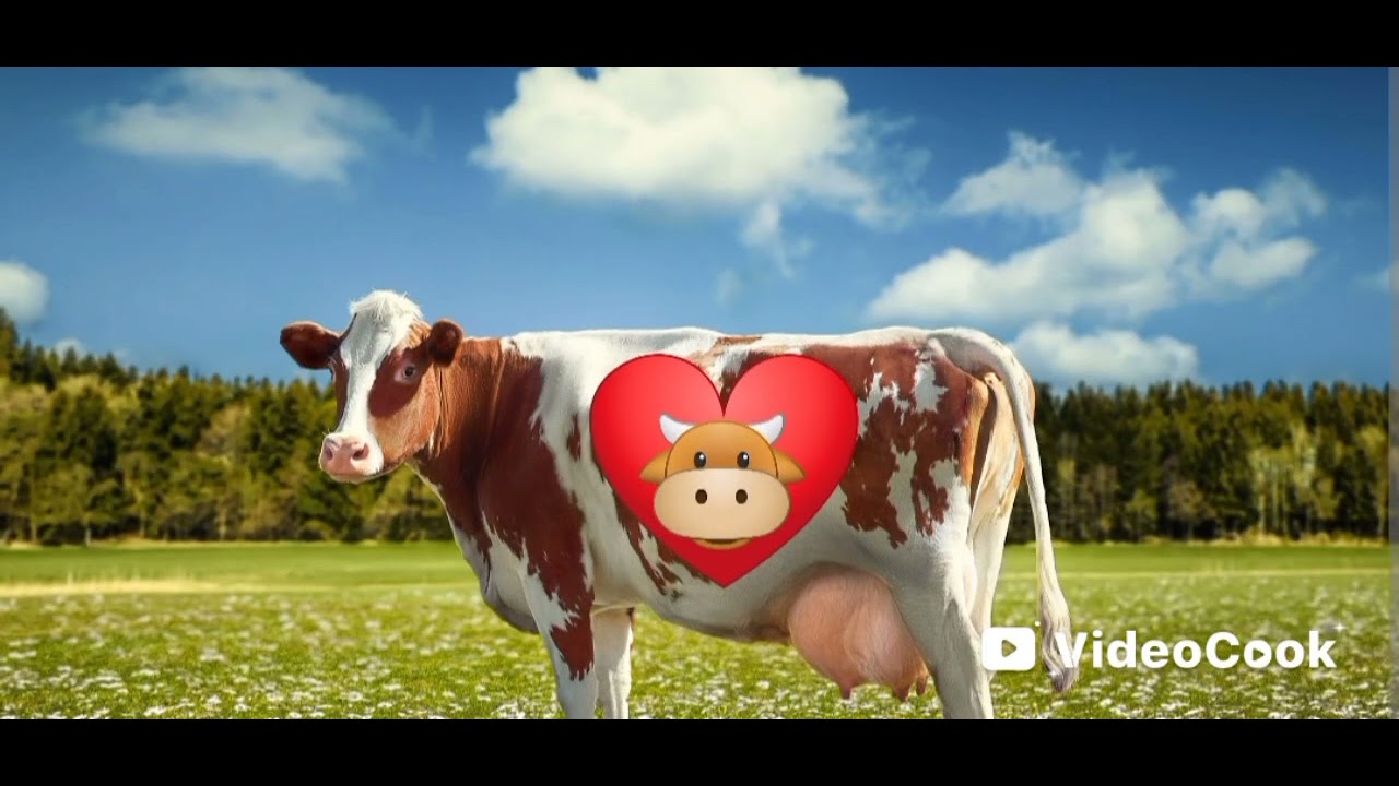 15 марта 2025 г. - YouTube