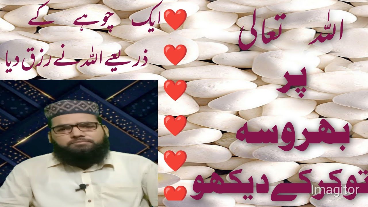 Allah par bharosa kar ke to dekho || hazrat miqdad R A || raza ullah ...