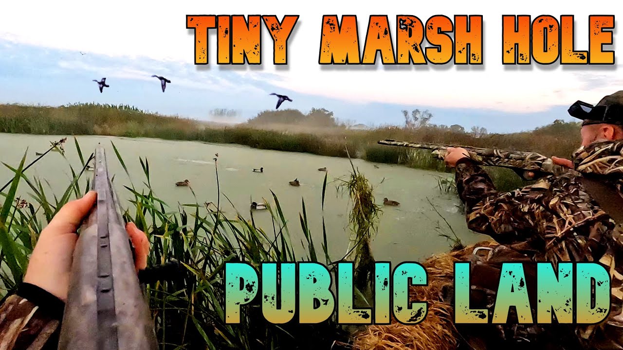 TINY PUBLIC MARSH HOLE Duck Hunt on Wisconsin OPENING WEEKEND! - YouTube