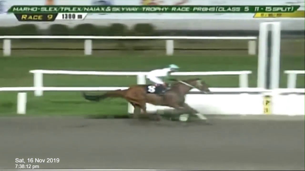 PHILIPPINE HORSE RACING 20191116_PRCI_R09 - YouTube