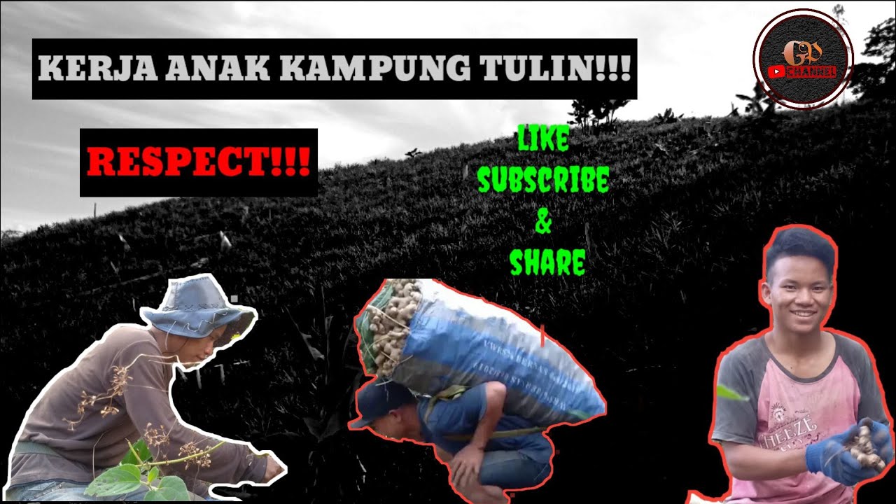 CARA HIDUP ANAK MUDA DI KAMPUNG (koposion sukod wagu I'd kampung) - YouTube