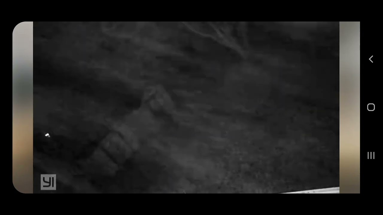 They say this is what Heavy Fog Looks Like on a Night Vision Security ...