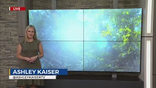 Experts warn of poisonous plant that causes a swollen red rash