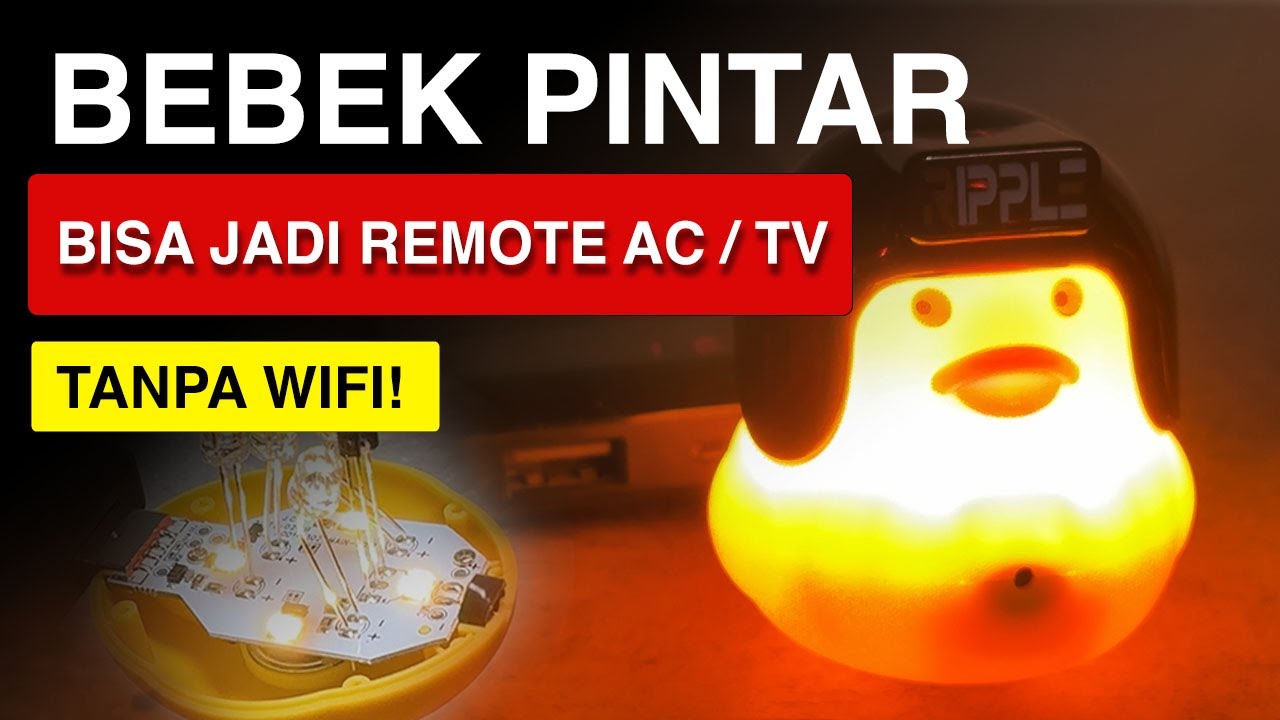 Bebek Pintar AI: Emang Boleh Remote Sepintar Ini?! - YouTube