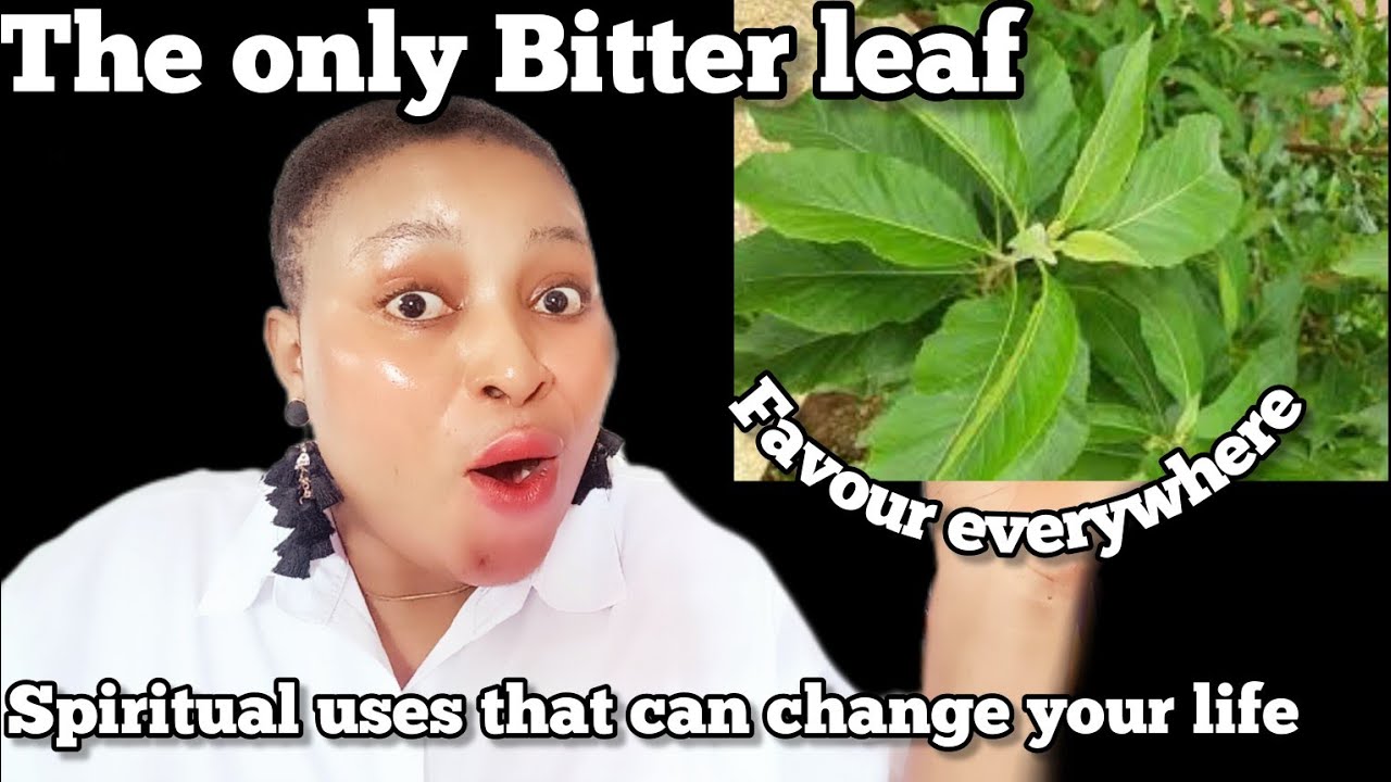 Spiritual Uses of Bitter Leaf /How to use bitter leaf to attract favor ...