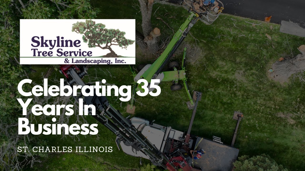 Skyline Tree Service Celebrating 35 Years In Business - YouTube