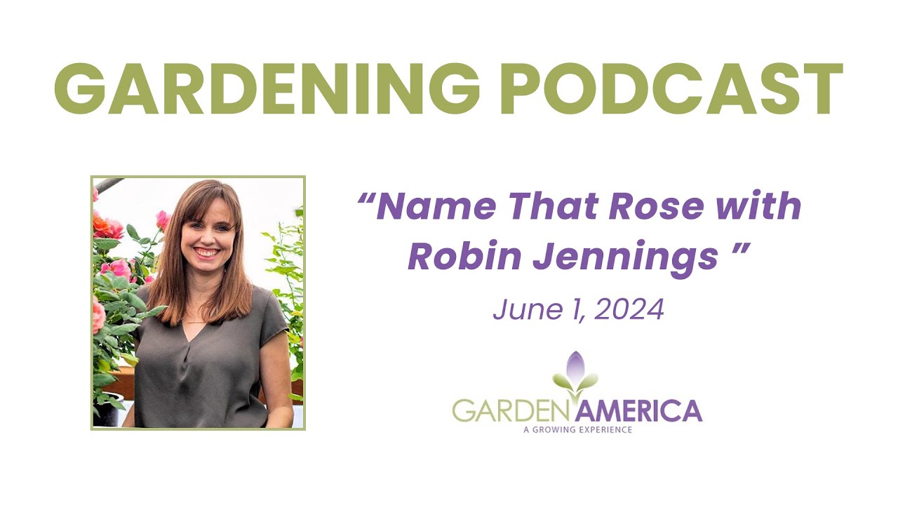 Name That Rose with Robin Jennings - Garden America Podcasts & Radio ...