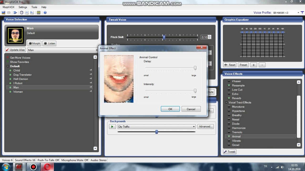 『ЅƁ』 ∞ HAKAN 'DAN ÇOK SAĞLAM YENİ MORP AYARI - DİSCORD -RAİDCALL - YouTube
