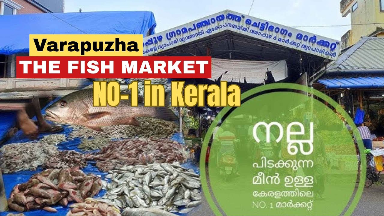 VARAPUZHA MARKET | FRESH FISH MARKET | ERNAKULAM - YouTube