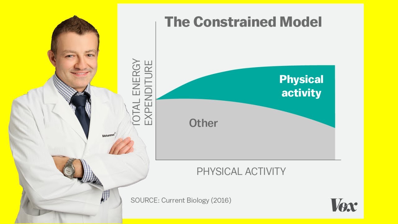 You Can't Outrun a Bad Diet: Constrained Model of Exercise - YouTube