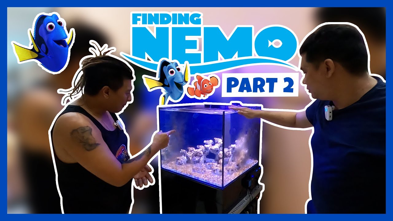 Setup Aquarium FINDING NEMO || Part 2 - YouTube