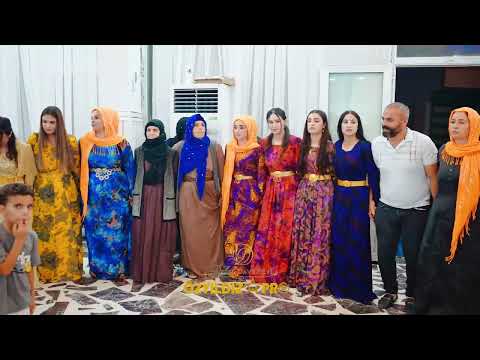 Özyıldız Production Delal Davet Evi Viranşehir Düğünleri #ytdayibenionecikarnolur #düğün #halaybasi