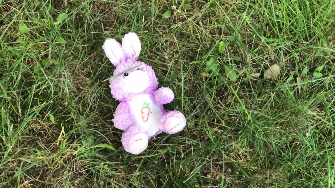 BERNIE'S TOY BOX - YouTube