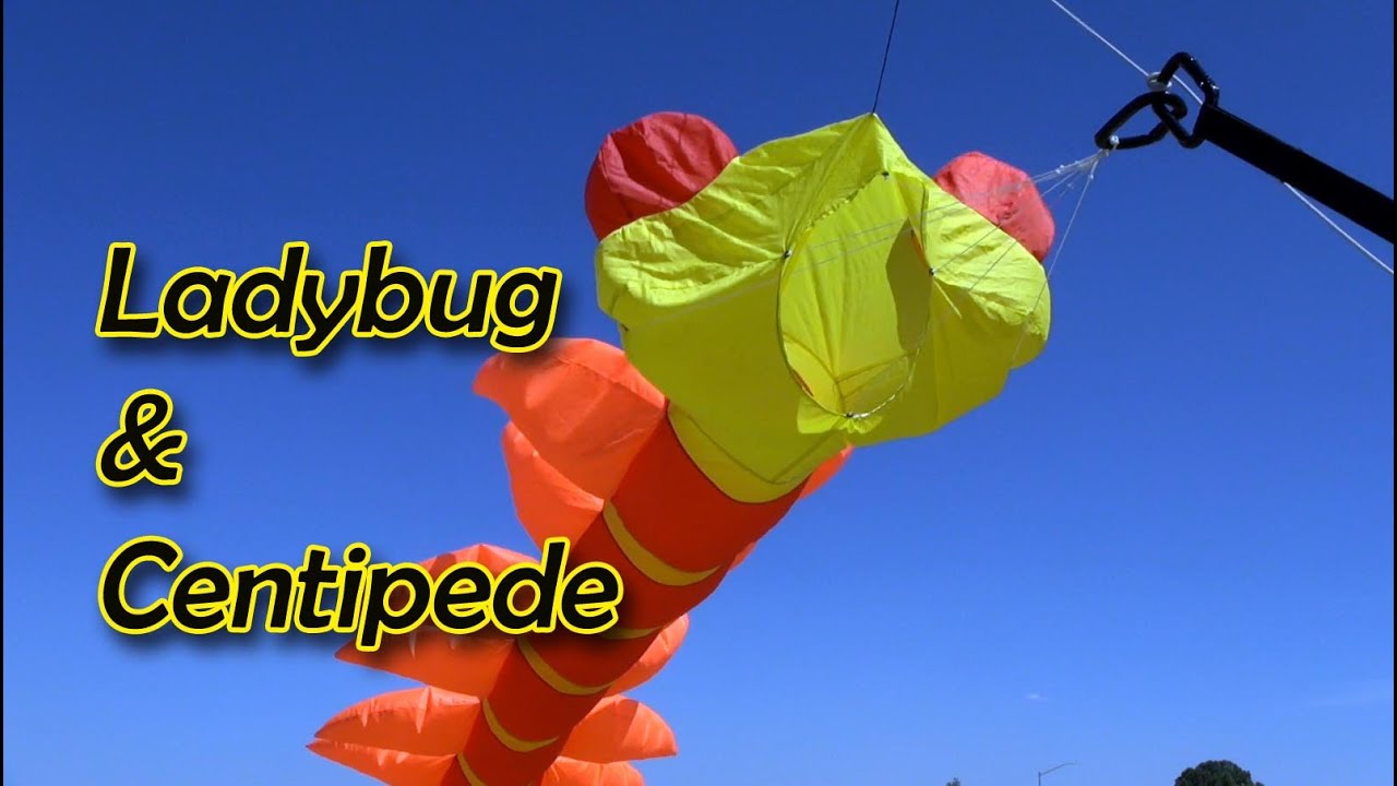 Ladybug and Centipede kite - YouTube