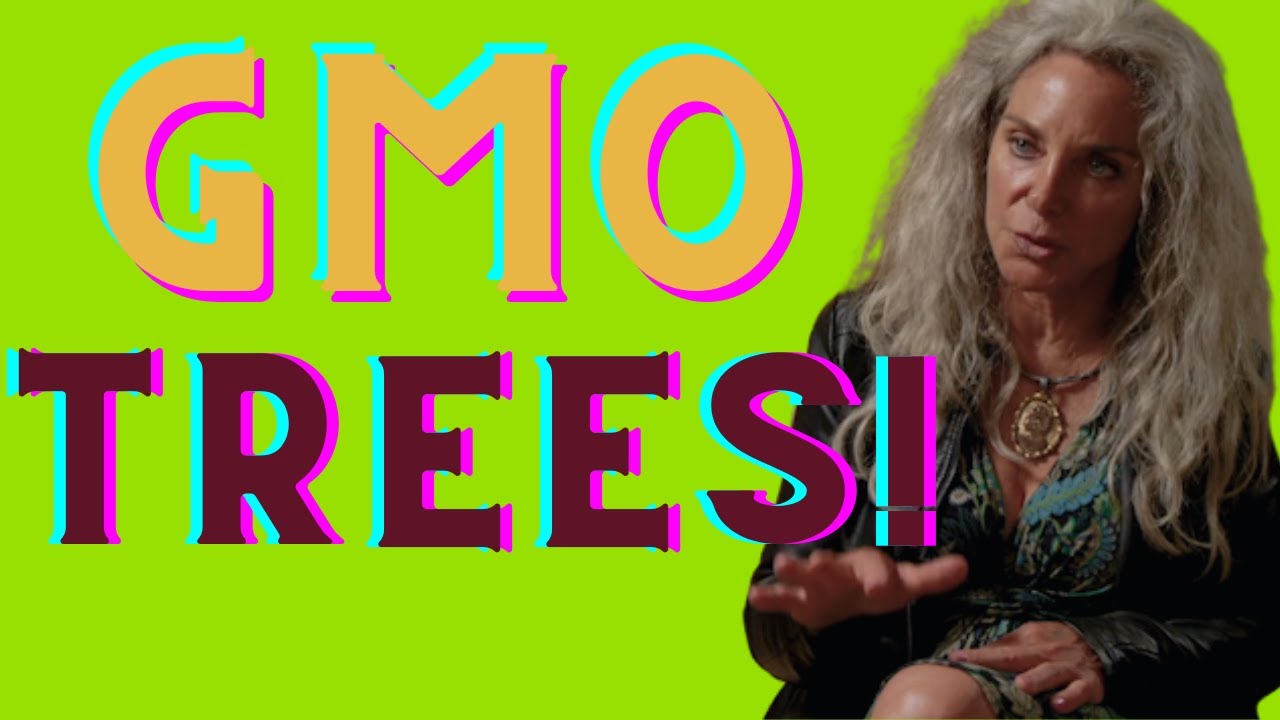 GMO TREES! - YouTube