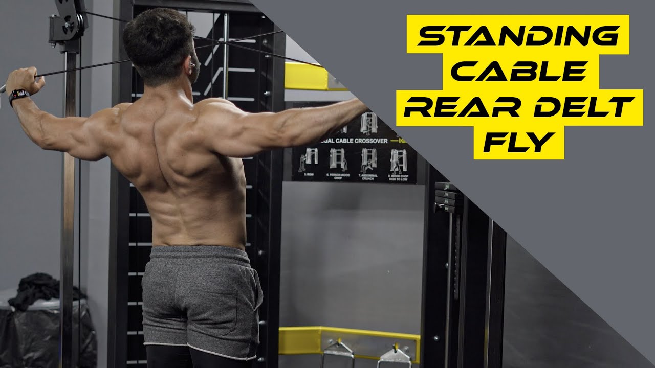 Standing Cable Rear Delt Fly - YouTube