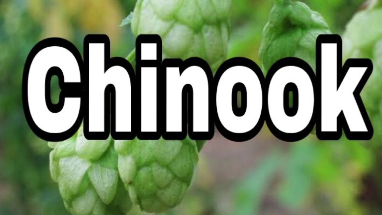 Conoce tu lúpulo: Chinook - YouTube