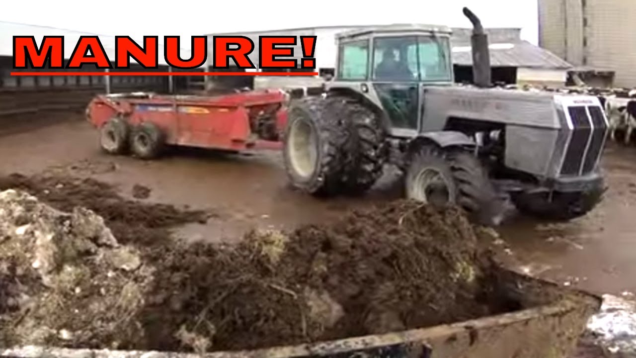 January Thaw! Hauling Manure | Feeding and Moving Cattle - YouTube