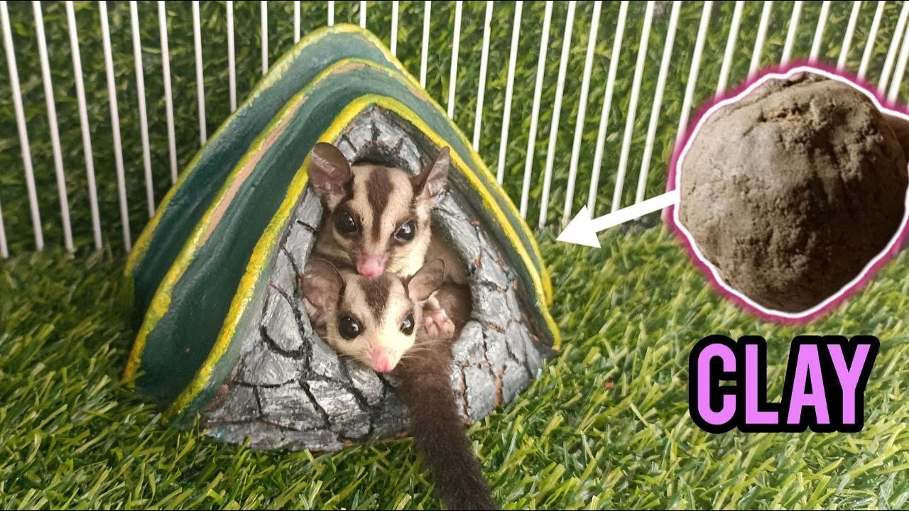 Diy How to Make a Clay House for Sleeping Animals Ep 41 - YouTube