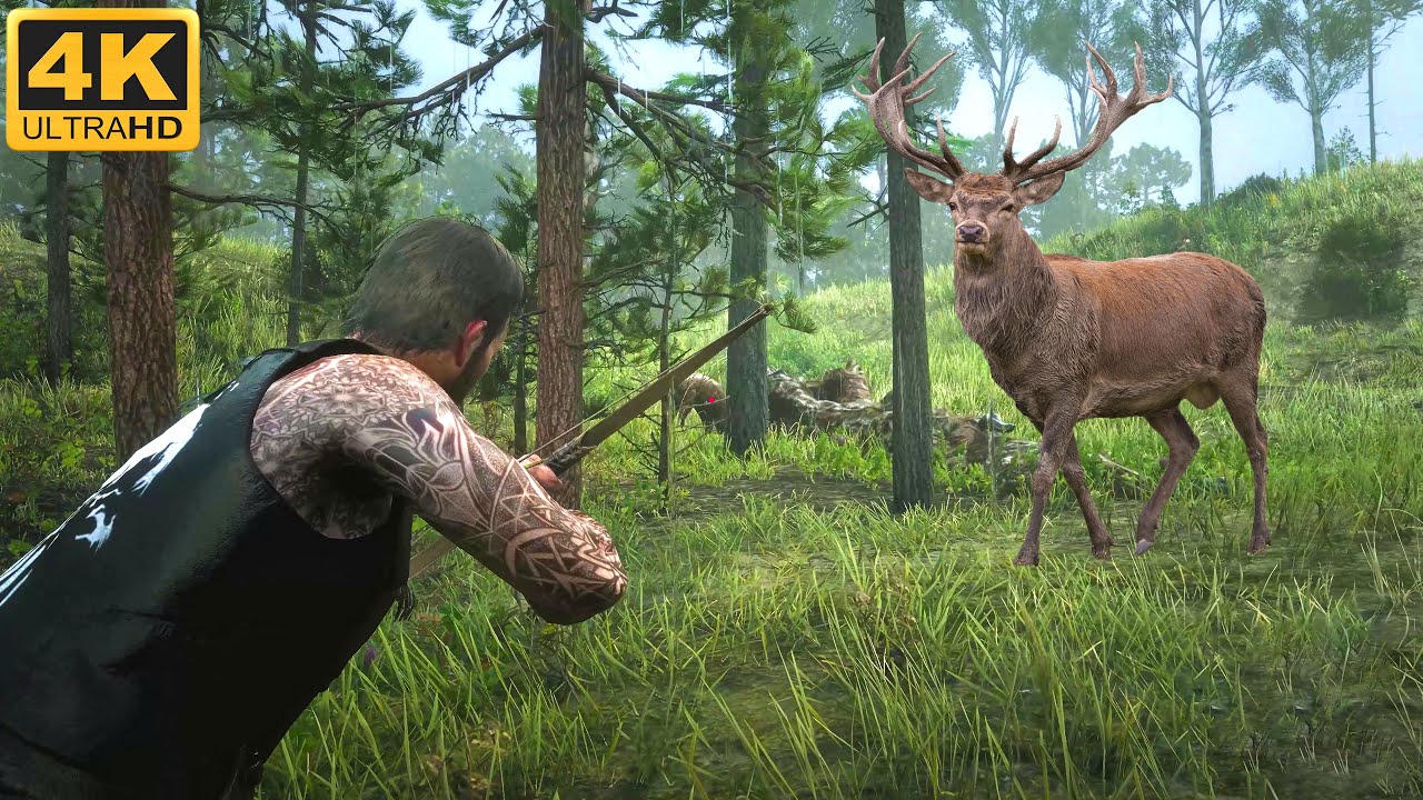 Hunting Legendary Buck with Bow and Arrow Poison Red Dead Redemption 2 ...