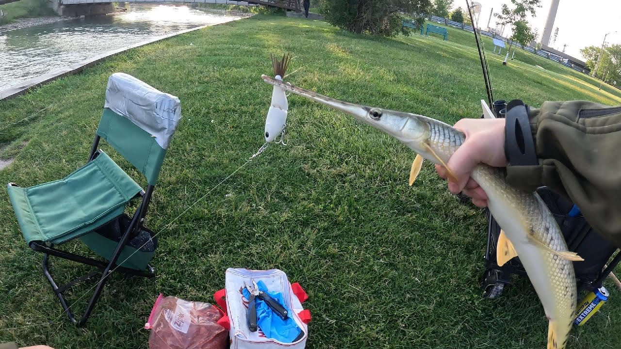 Gar pike on Glide Bait - YouTube
