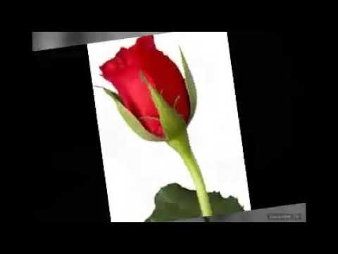 Ben seni dünden unuttum. 🇹🇷🇹🇷😀😀👋