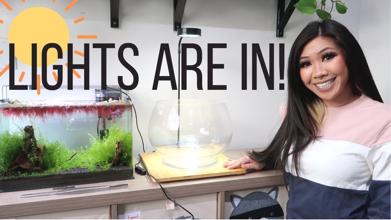 Hiro Aquatics Unboxing! - YouTube