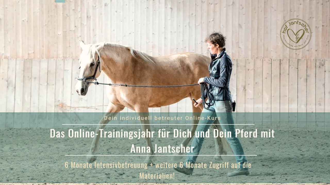 Dein Online-Trainingsjahr mit Anna Jantscher von Herz und Hirn ...
