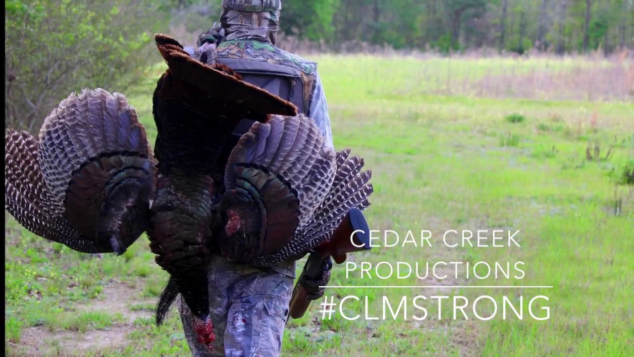 Cedar Creek Productions | Pitman Farms - YouTube
