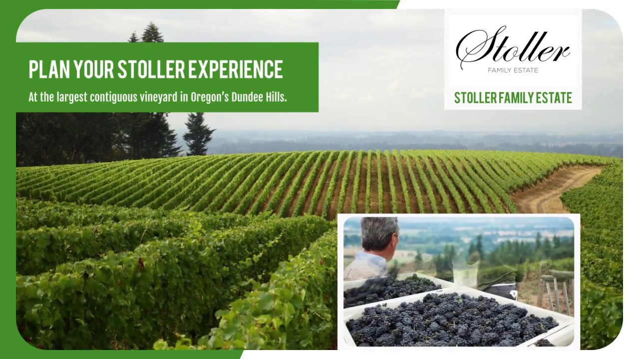 Stoller Family Estate 1 - YouTube