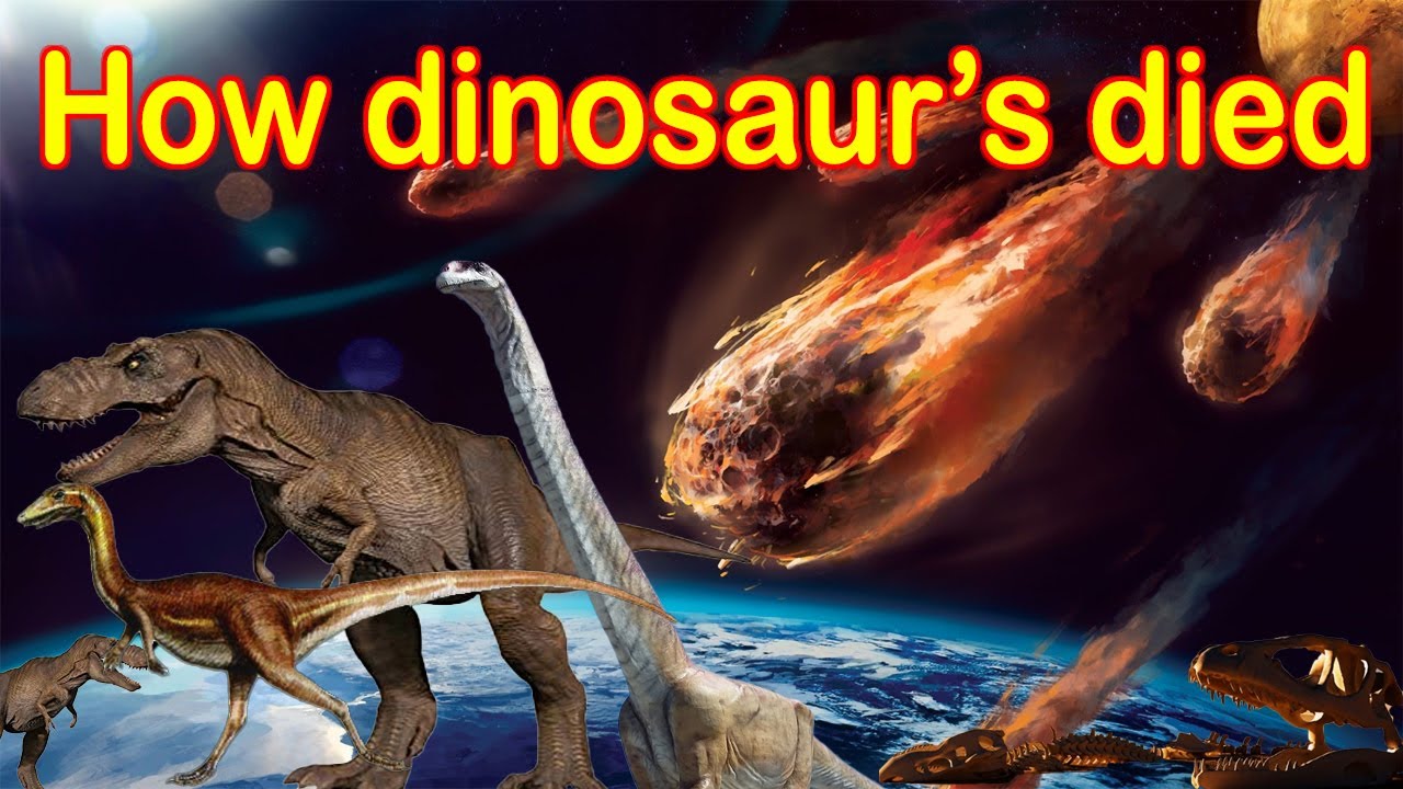 how dinosaurs died | dinosaurs information | how dinosaurs died where ...