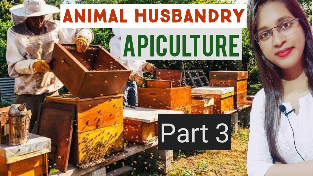 Bee keeping full notes | Apiculture - YouTube