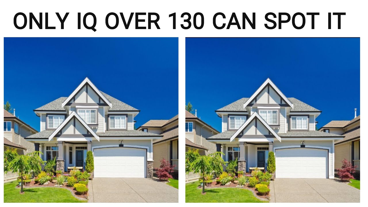 Spot the difference : Can you find them all ( find the difference #171 ...