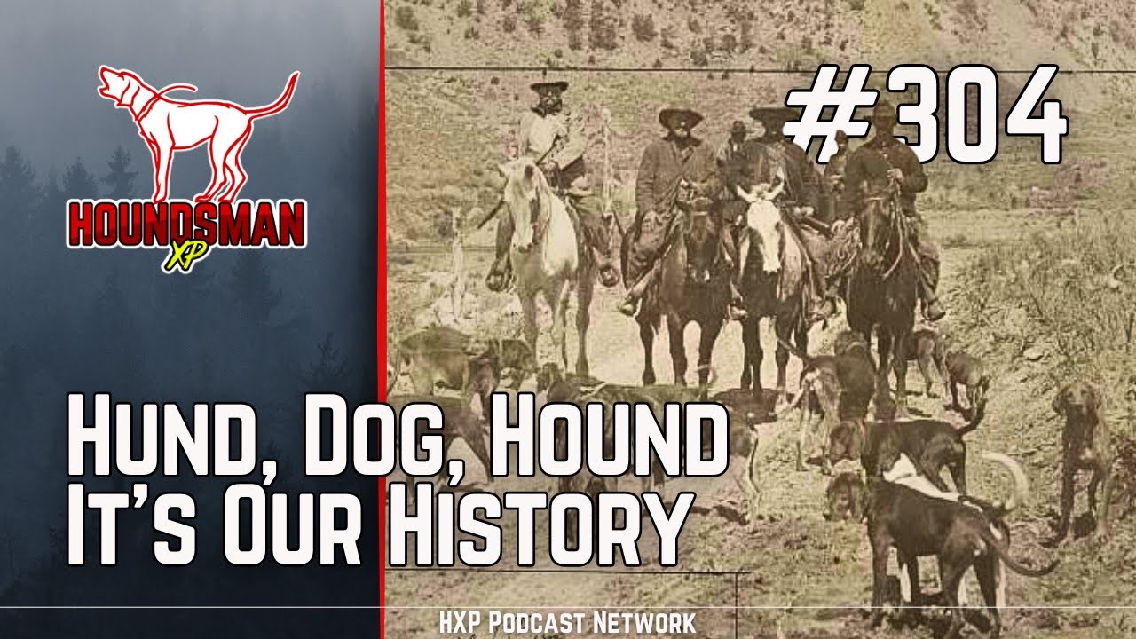 Hund, Dog, Hound: It’s Our History - Craig Koshyk - Hunting Dog ...