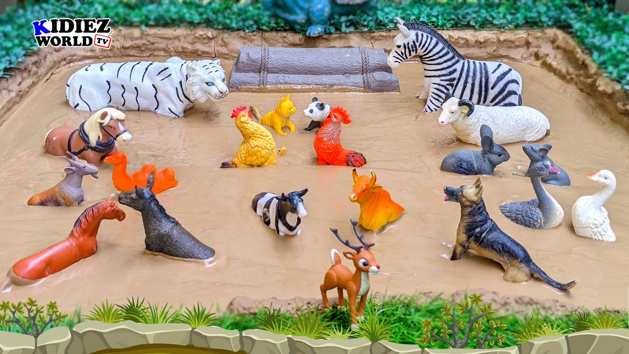 Farm Animal Adventure: White Tiger & Zebra Meet Muddy Farm Friends ...