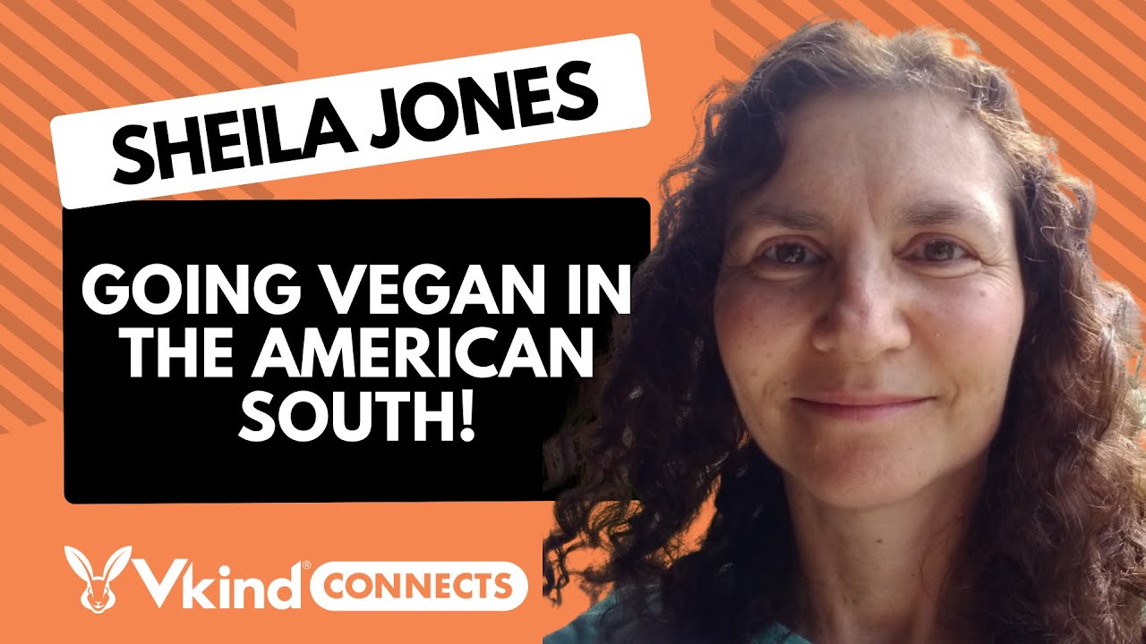 Vwire - Media Interviews